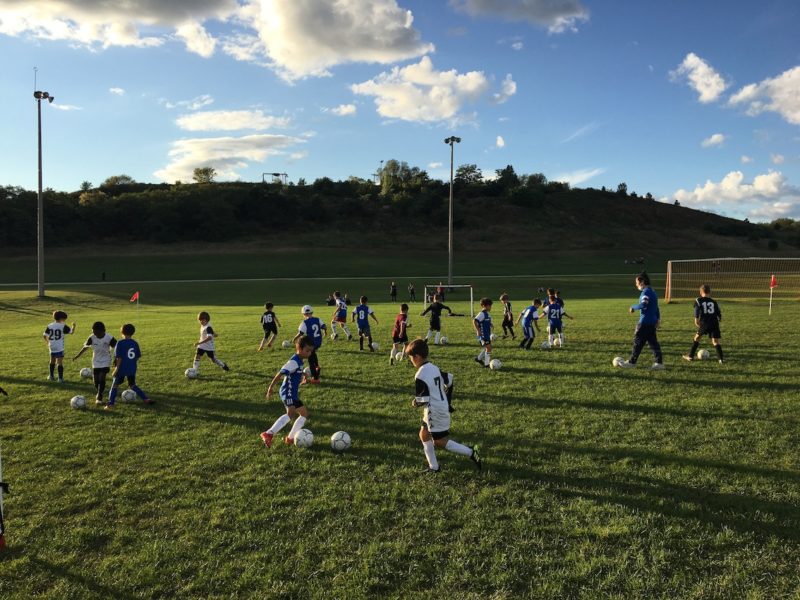 Summer Soccer » Royal York Football Club Etobicoke