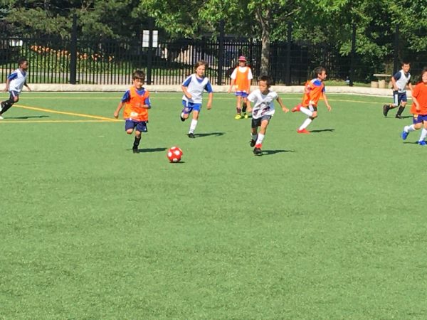 Summer Soccer » Royal York Football Club Etobicoke